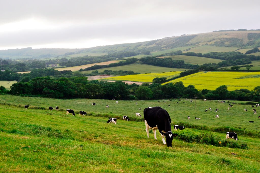 Protecting the Family Farm During Divorce Proceedings | Consilia Legal ...